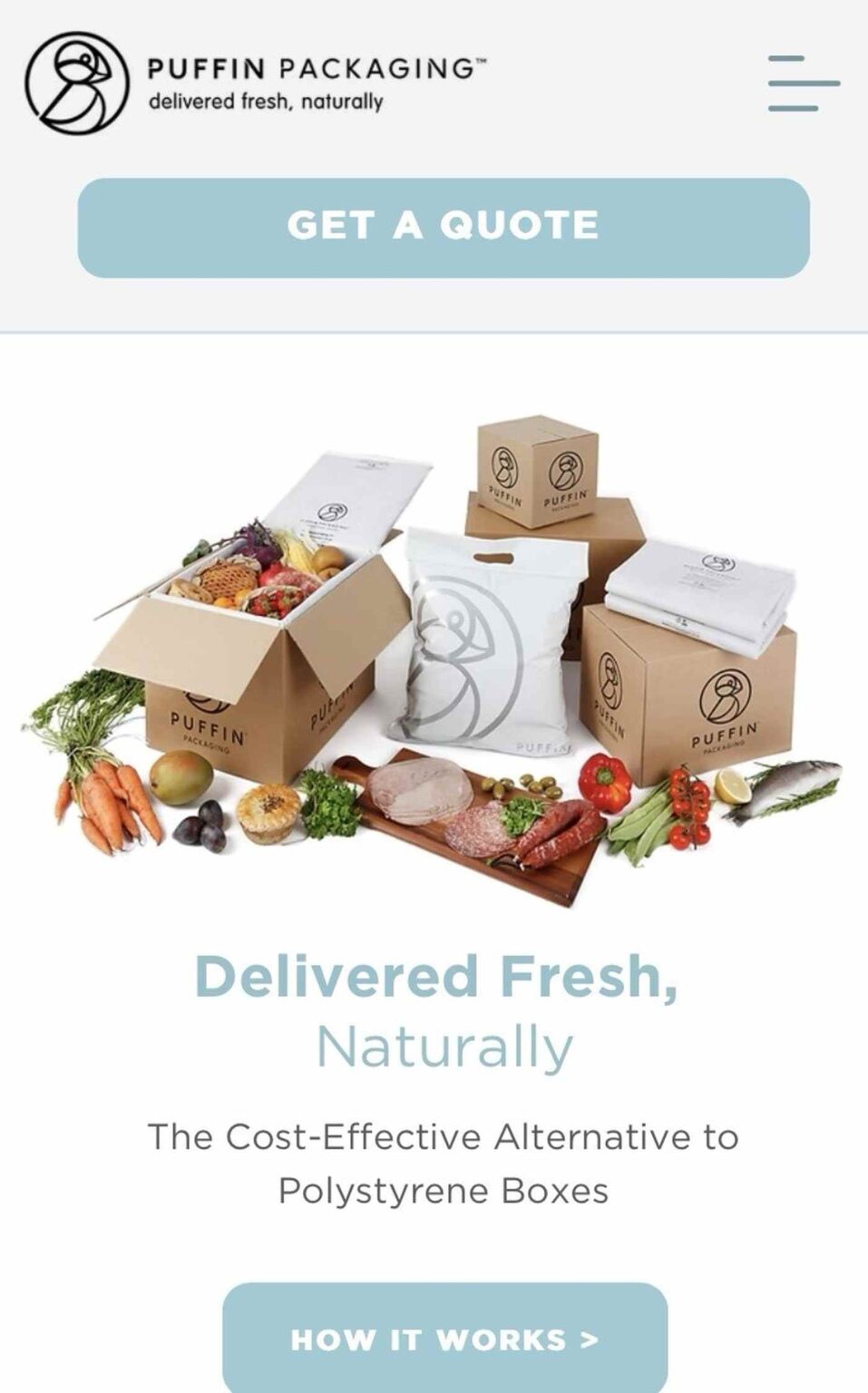 Mobile Website Design: The 10 Best Mobile Website Examples 2025 | Friday